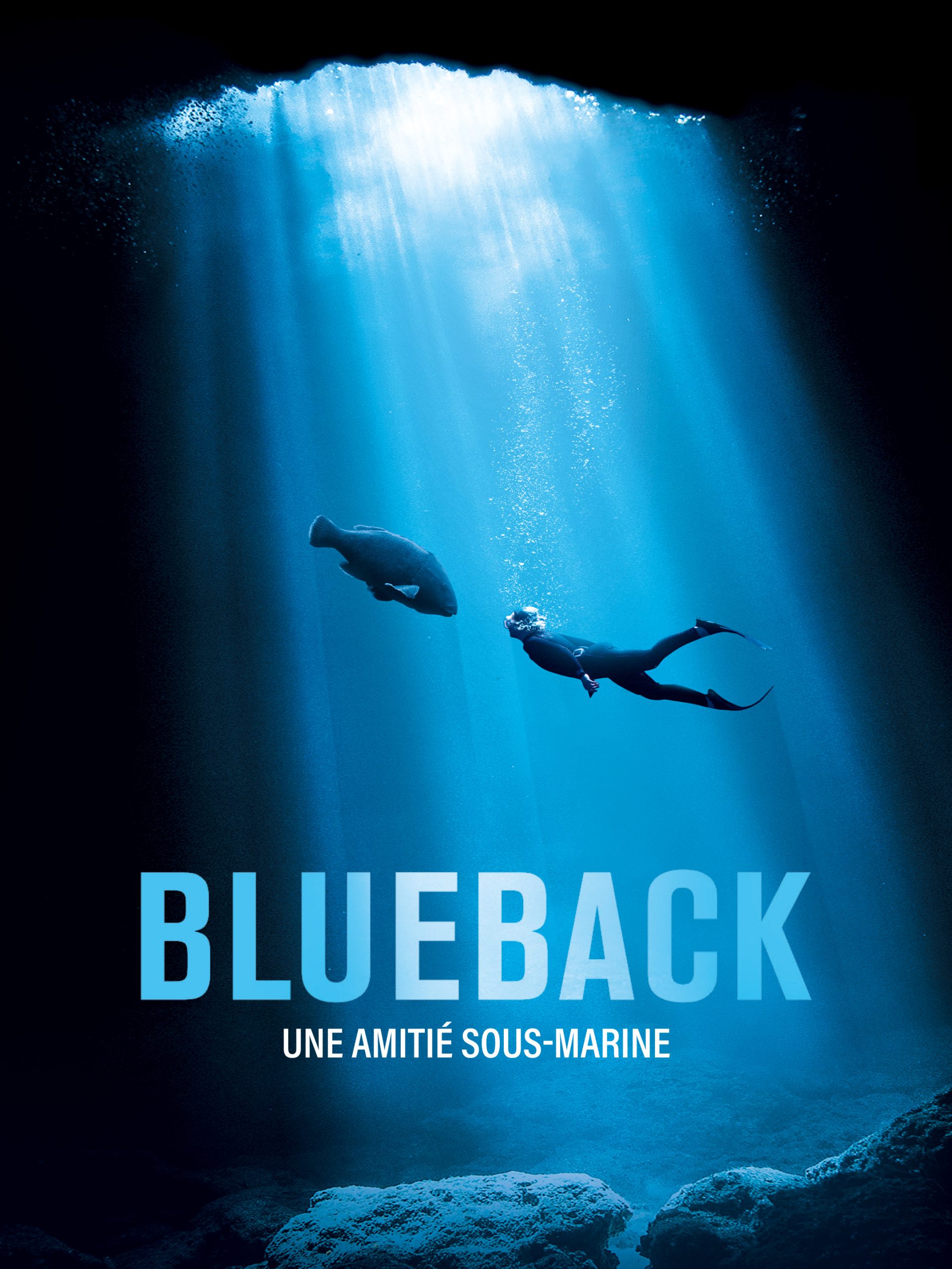 BLUEBACK - UNE AMITIÉ SOUS-MARINE - Metropolitan Films