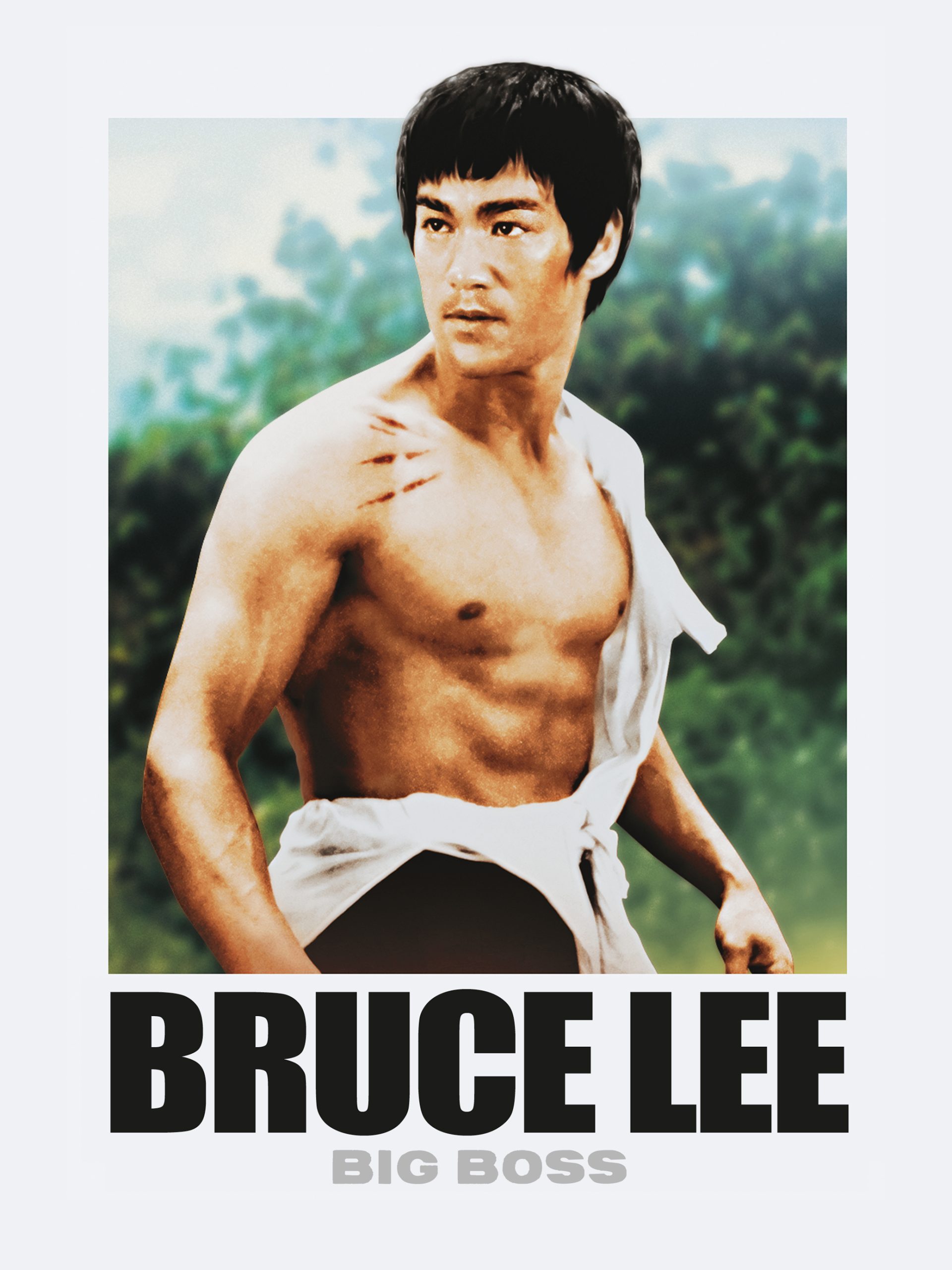 BIG BOSS - Metropolitan Films